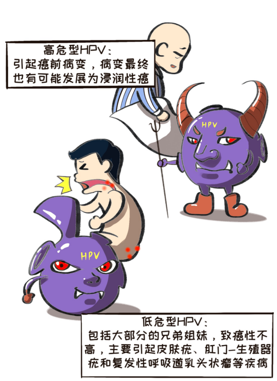 中华医学会 科普图文 一份来自HPV的自白